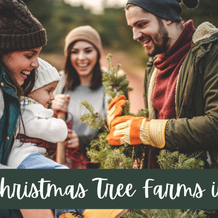 Back 40 BBQ in Middlefield, Ohio - Gleason Family Adventure