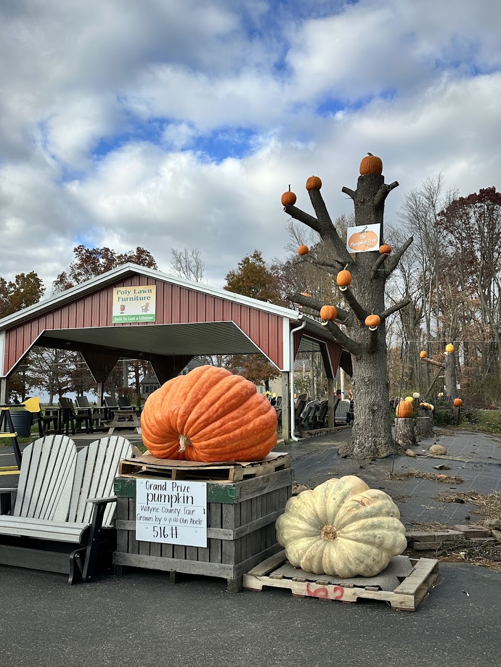 Spend A Day at Moreland Fruit Farm in Ohio’s Amish Country - Gleason ...